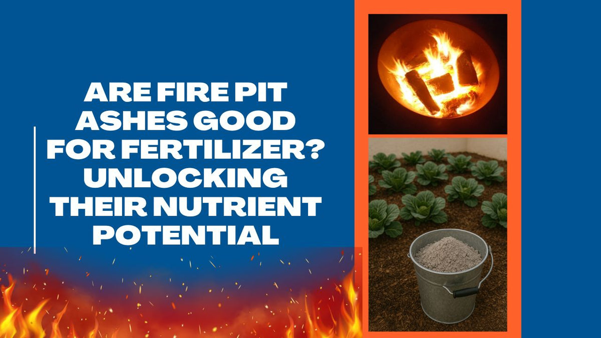 Are Fire Pit Ashes Good for Fertilizer? Unlocking Their Nutrient Poten ...